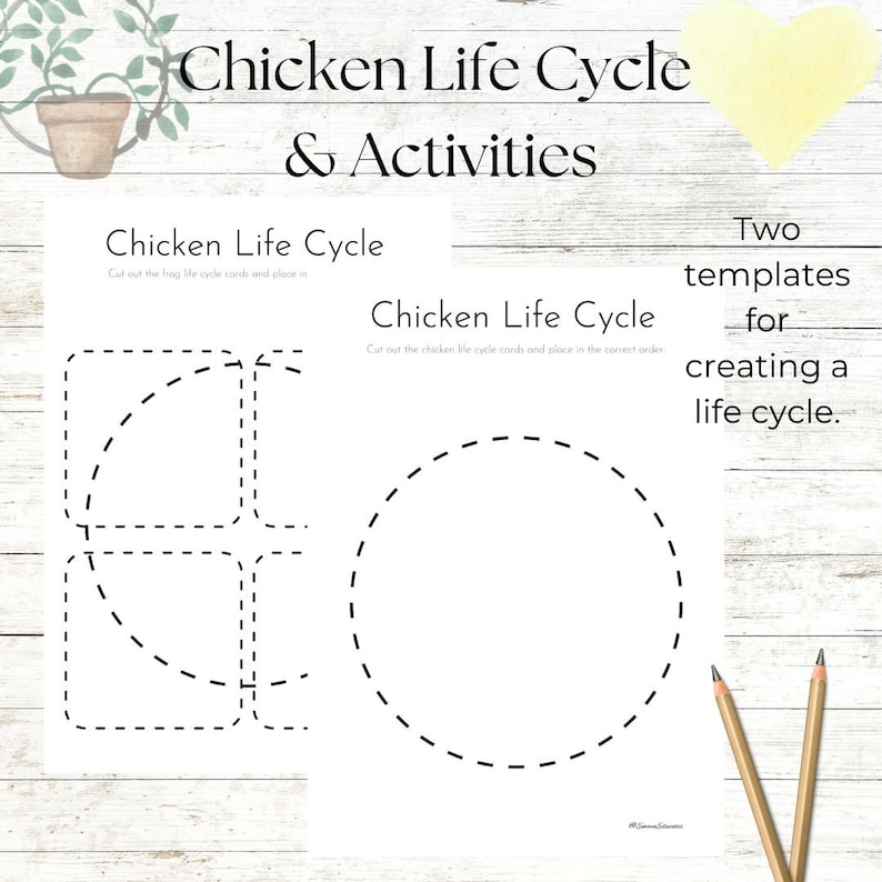 Egg-citing Chicken Life Cycle Activities: Montessori-inspired Unit for ...