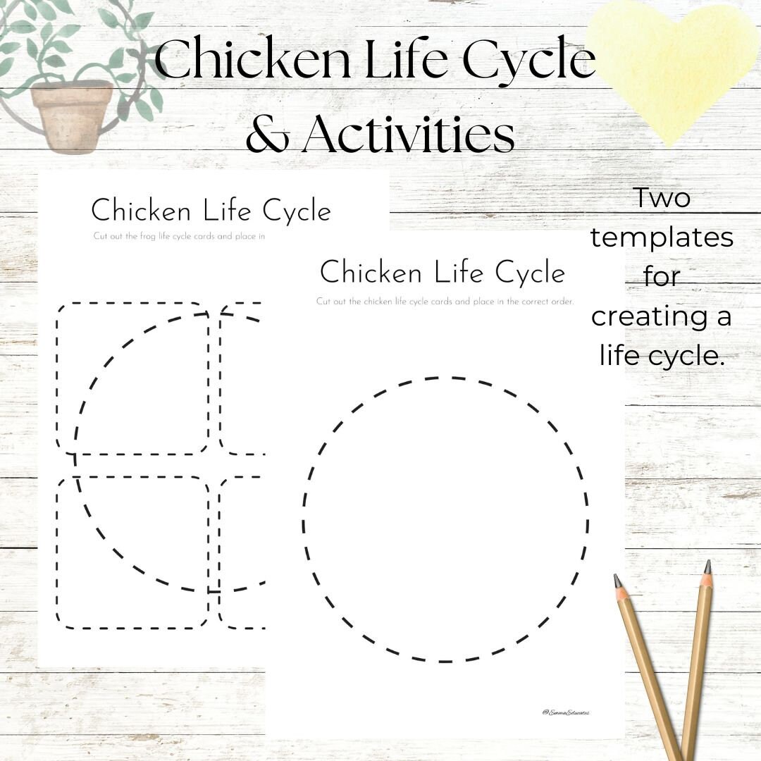 Egg-citing Chicken Life Cycle Activities: Montessori-inspired Unit for ...