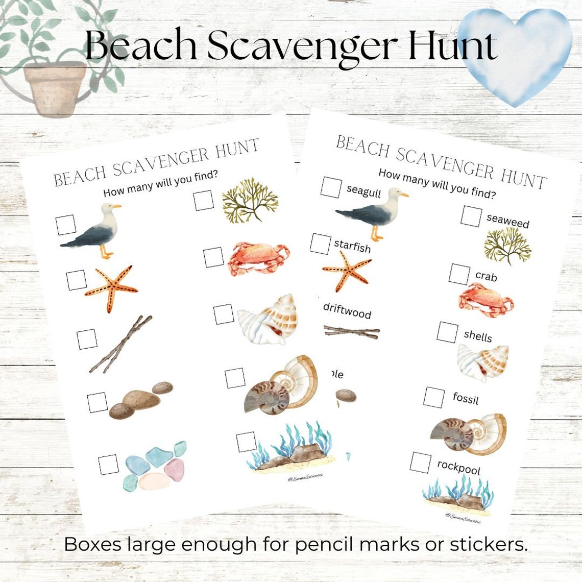 Beach Scavenger Hunt: Spot These Natural Features When Enjoying a Visit ...