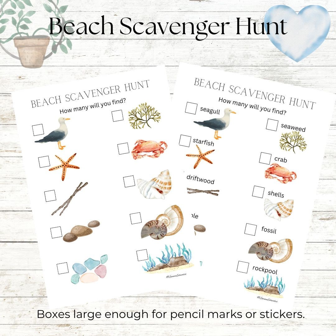 Beach Scavenger Hunt: Spot These Natural Features When Enjoying a Visit ...