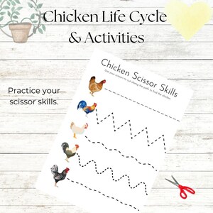 Egg-citing Chicken Life Cycle Activities: Montessori-inspired Unit for ...