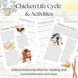 Egg-citing Chicken Life Cycle Activities: Montessori-inspired Unit for ...