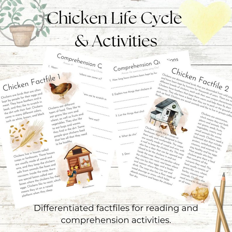 Egg-citing Chicken Life Cycle Activities: Montessori-inspired Unit for ...