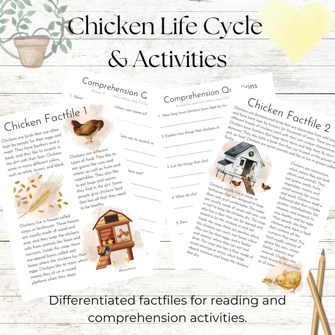 Egg-citing Chicken Life Cycle Activities: Montessori-inspired Unit for ...