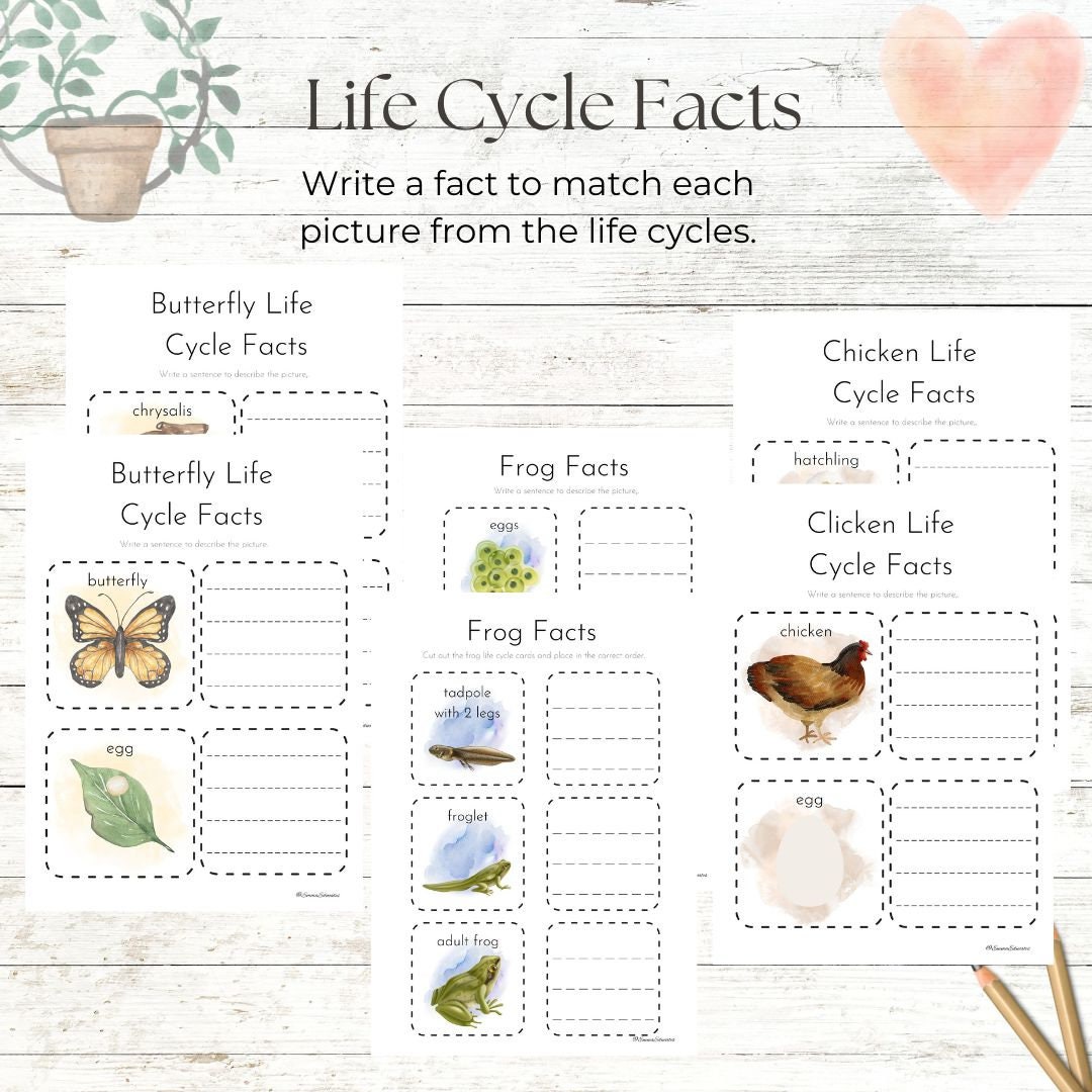 Life Cycle Bundle: Explore Life Cycles of Frogs Butterflies - Etsy