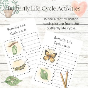 Montessori-inspired Butterfly Life Cycle Mini Unit: A Nature Lover's ...