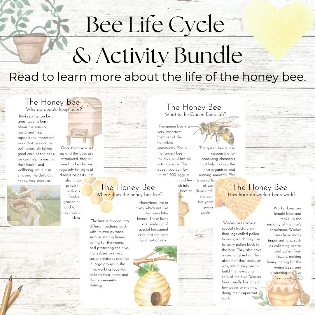 Bee-utiful Bee Life Cycle Learning: Montessori-inspired Activities and ...