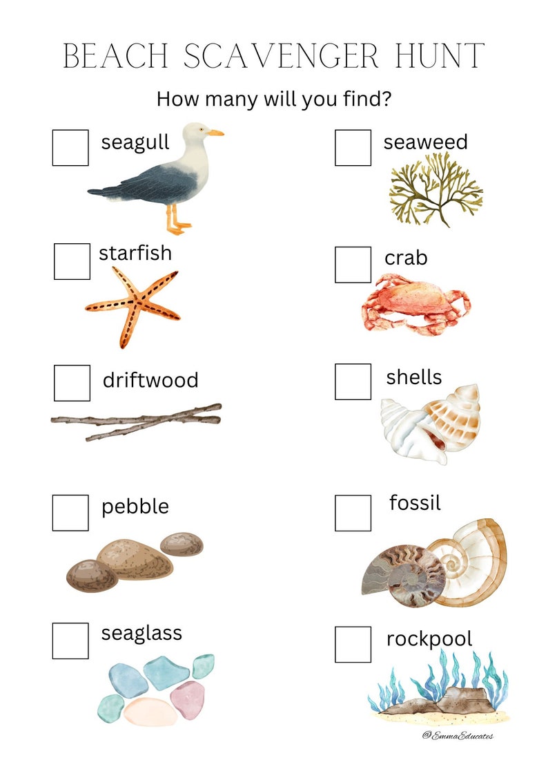 Beach Scavenger Hunt: Spot These Natural Features When Enjoying a Visit ...