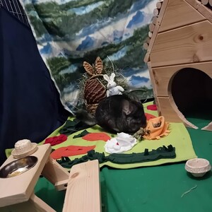 Rabbit Forage Mat, Bunny Toy - Snuffle Mat for Guinea Pig, Toy for ...