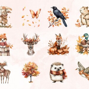Autumn Animal Clipart, Fall Clipart, Cozy Fall Graphics, Cute Animals ...