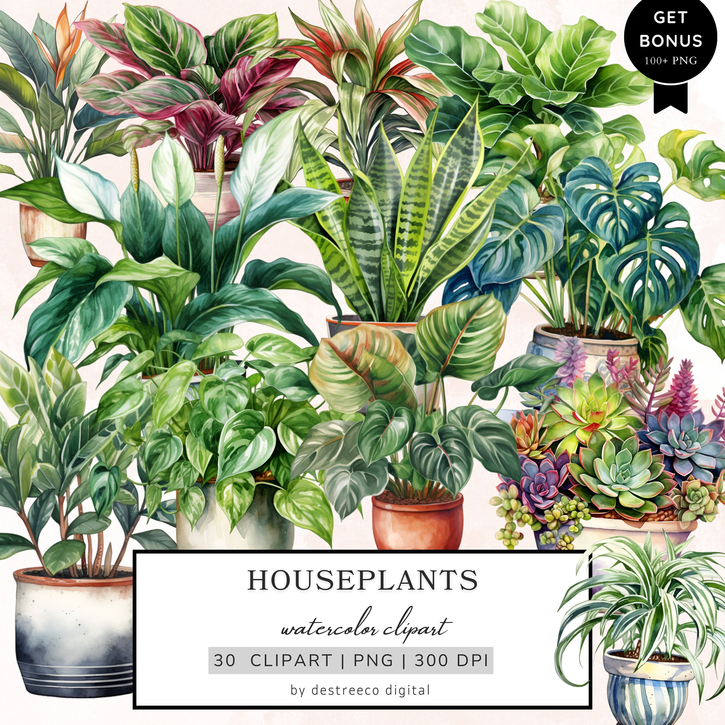 Watercolor Houseplants Clipart, Potted Plants Clipart, Botanical ...