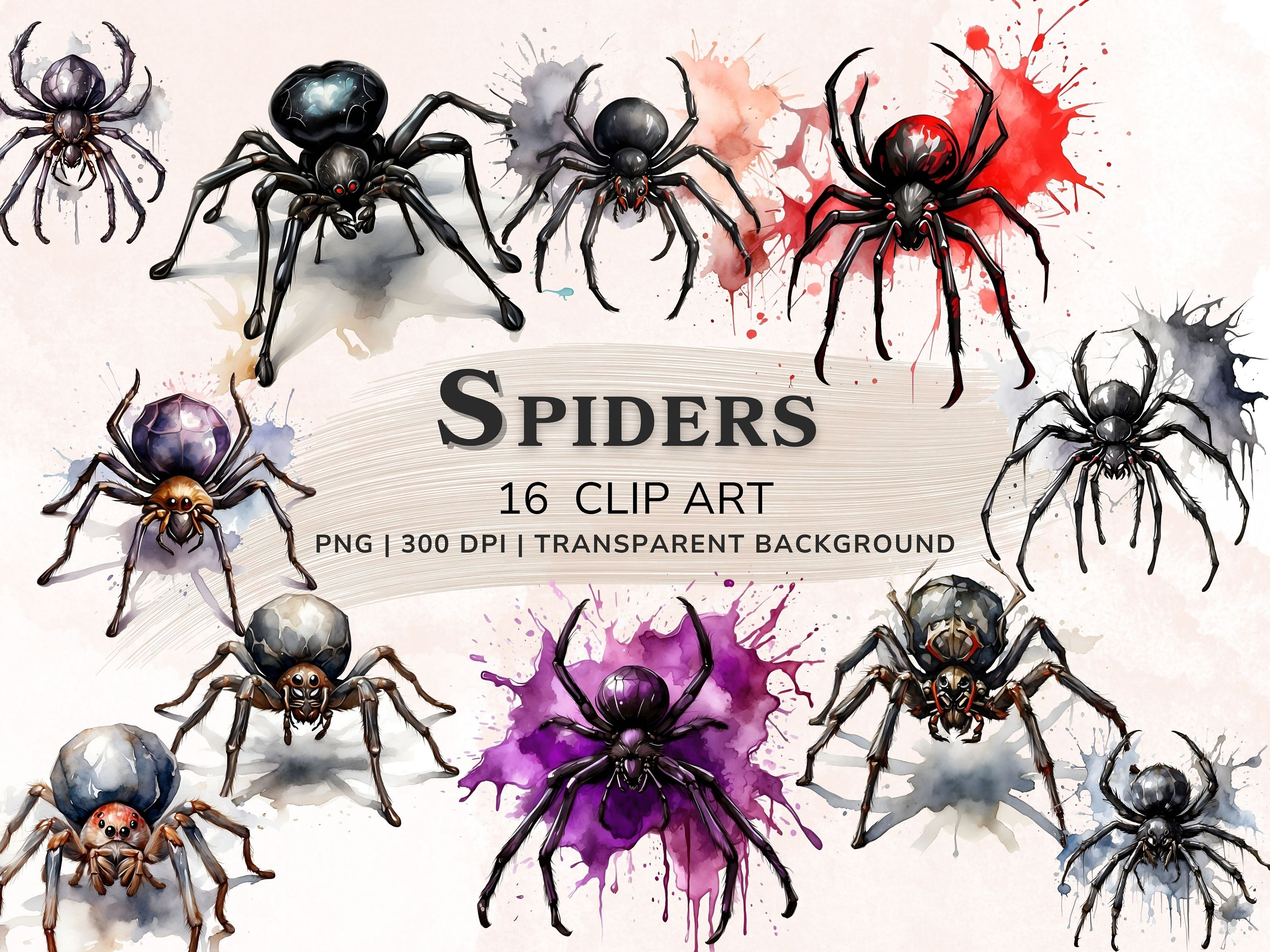 Spiders Clipart, Watercolor Clipart Bundle, 16 PNG Dark Fantasy Spider ...