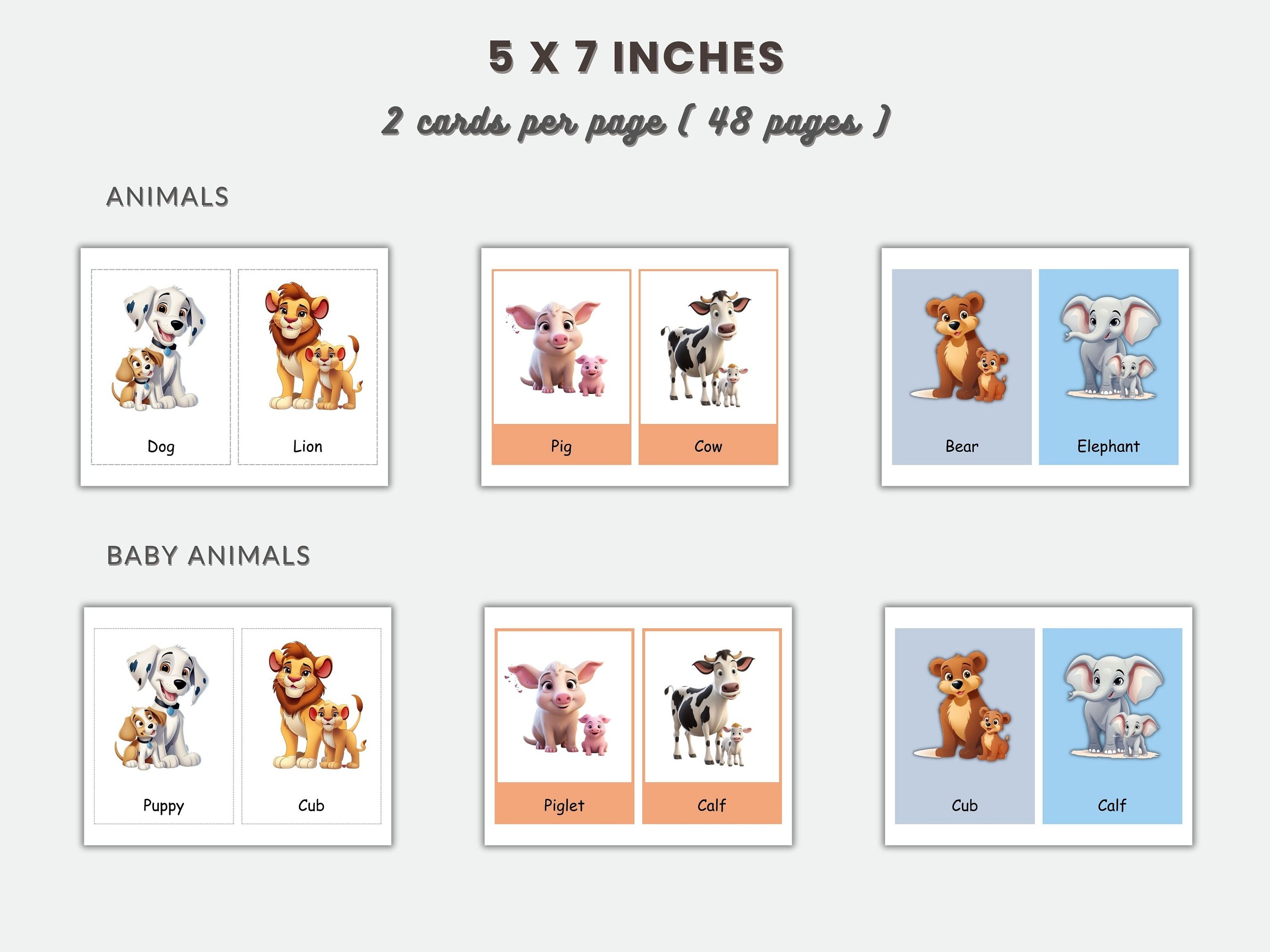 Animals & Baby Animals Printable Flashcards Montessori Cards Pre-school ...