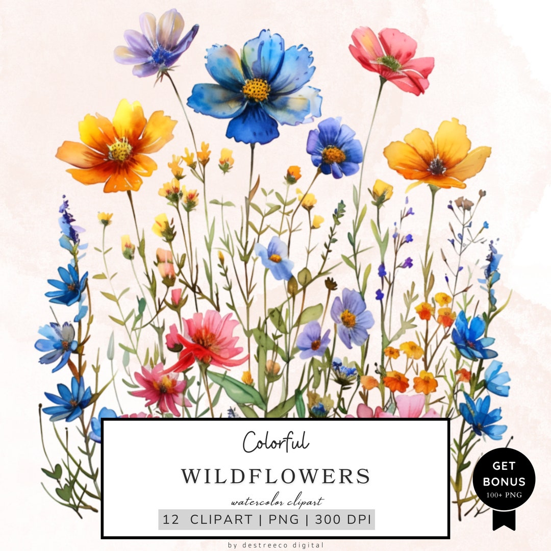 Watercolor Wildflowers Clipart, Spring Clipart, Colorful Wildflower ...