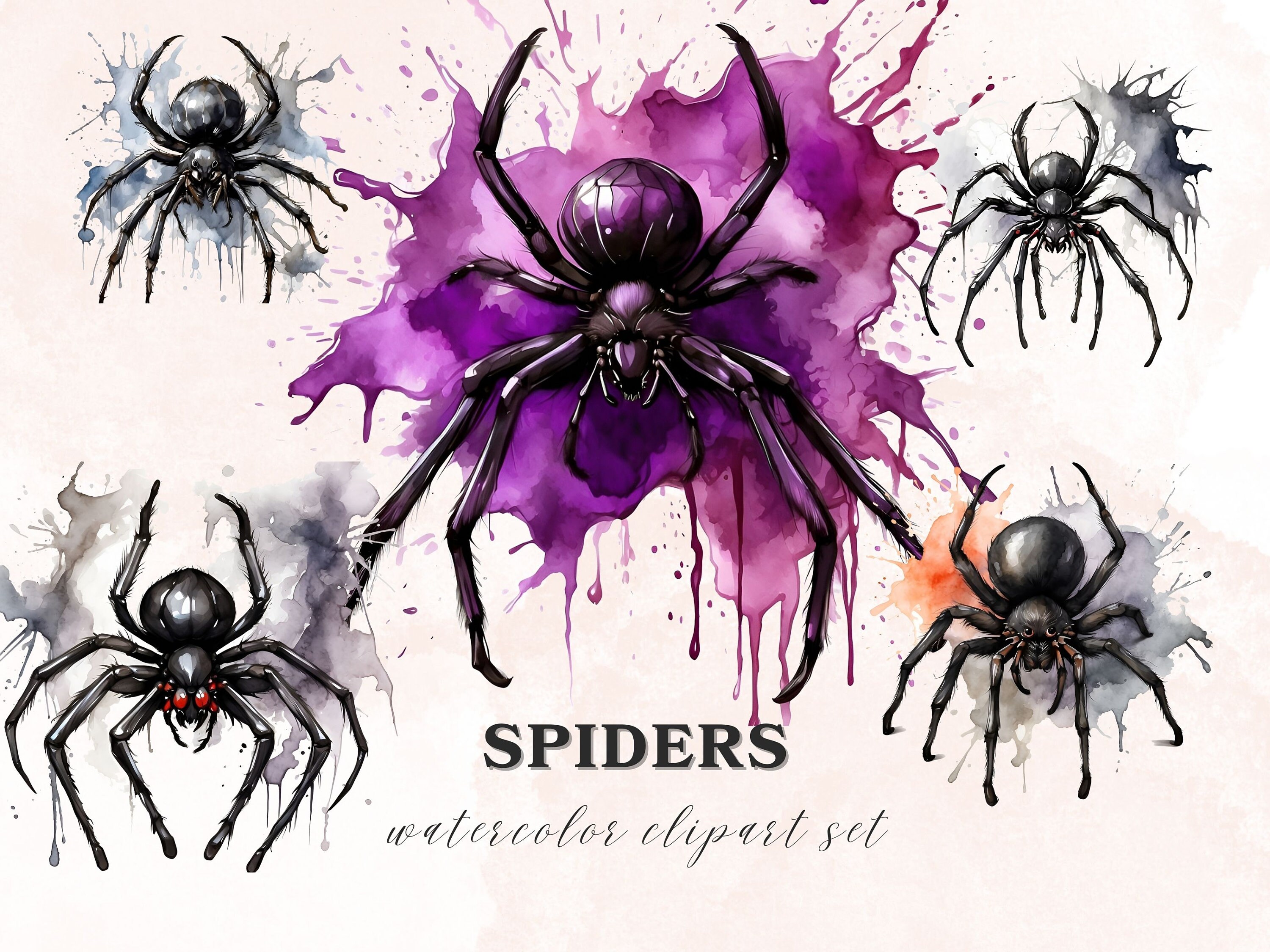 Spiders Clipart, Watercolor Clipart Bundle, 16 PNG Dark Fantasy Spider ...