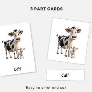 Animals & Baby Animals Printable Flashcards | Montessori Cards | Pre ...