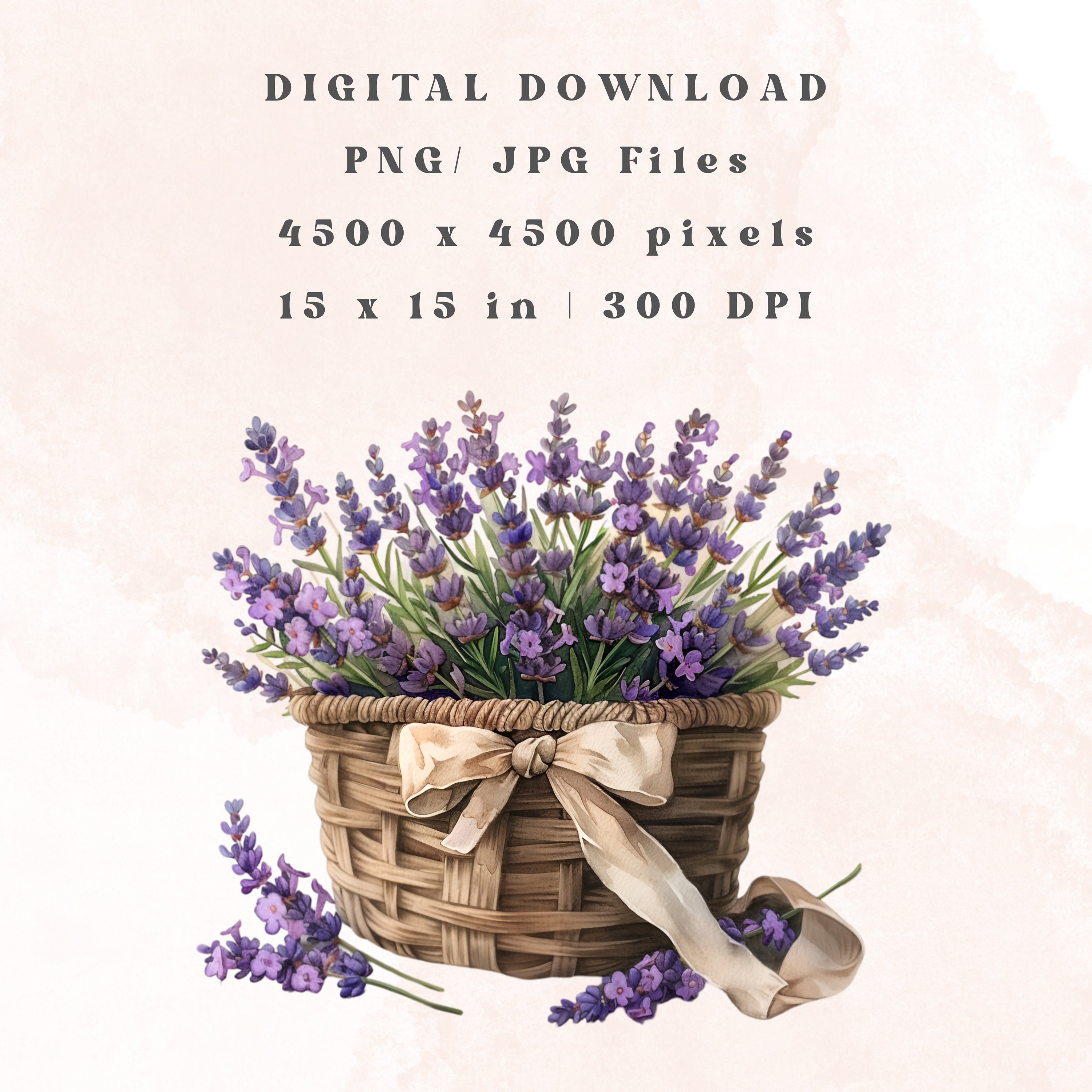 Lavender Basket Clipart, Lavender Clipart, Spring Clipart, Botanical ...