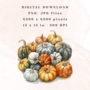 Watercolor Pumpkins Clipart Bundle, Autumn Clipart, Fall Graphics Png ...