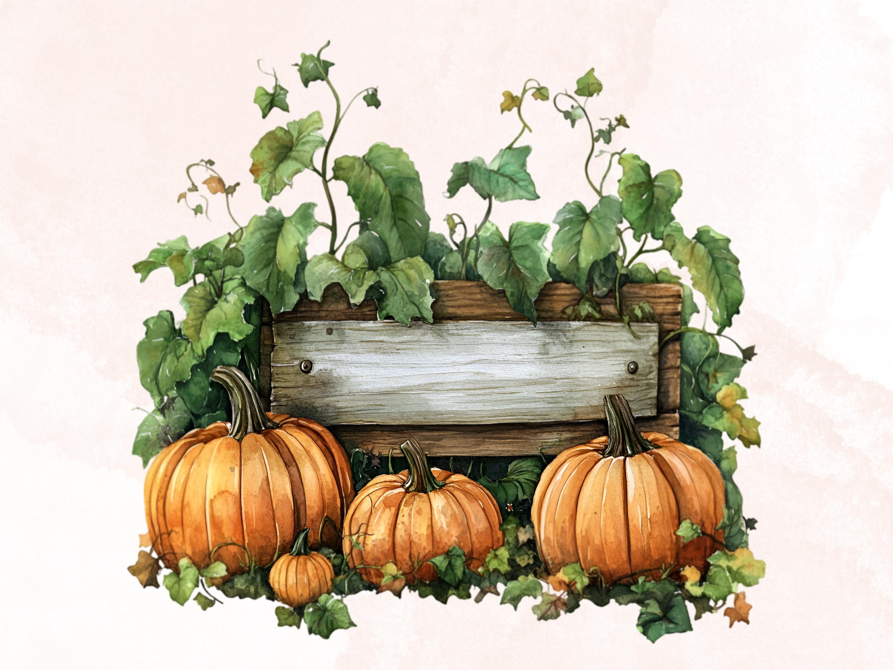 Watercolor Halloween Clipart, Pumpkin Patch Png Bundle, Cute Fall ...