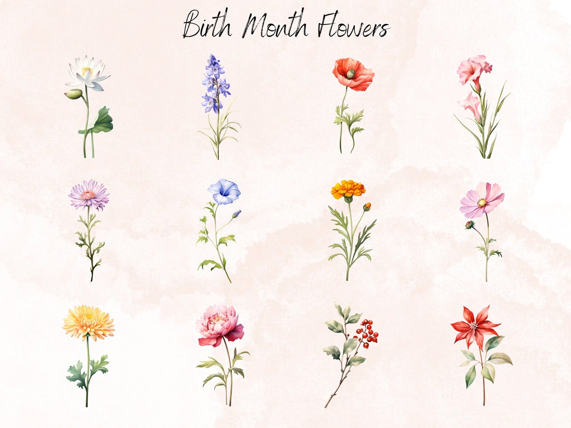 Watercolor Birth Month Flowers Clipart Bundle, Floral Png Set, Birth ...