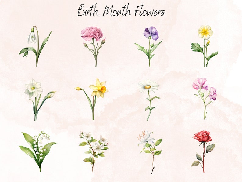 Watercolor Birth Month Flowers Clipart Bundle, Floral Png Set, Birth ...