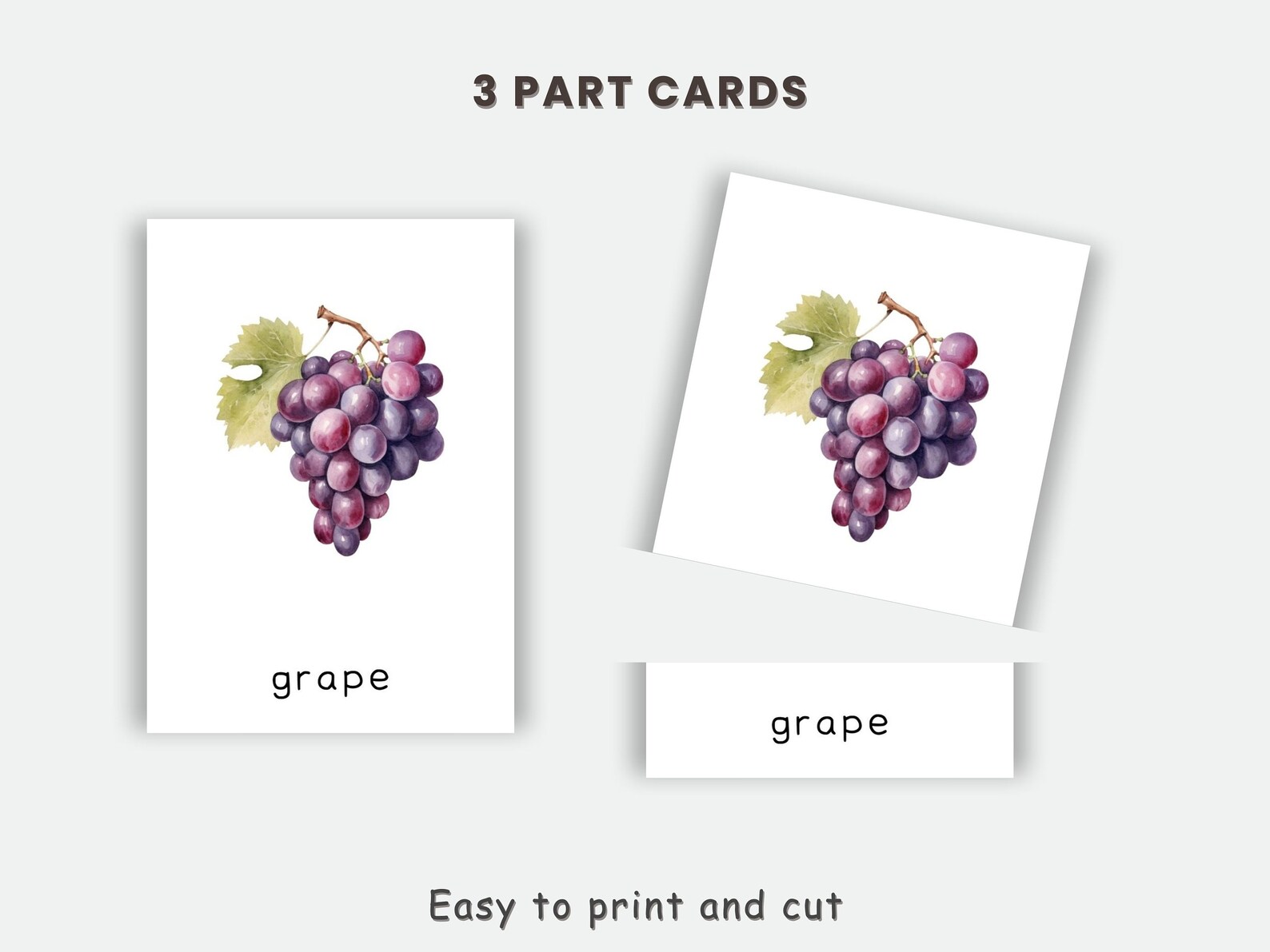 Fruits Flashcards, Printable Flashcards for Kids, Montessori Cards ...