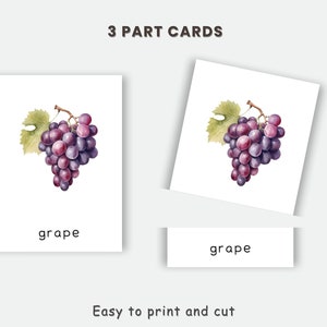 Fruits Flashcards, Printable Flashcards for Kids, Montessori Cards ...