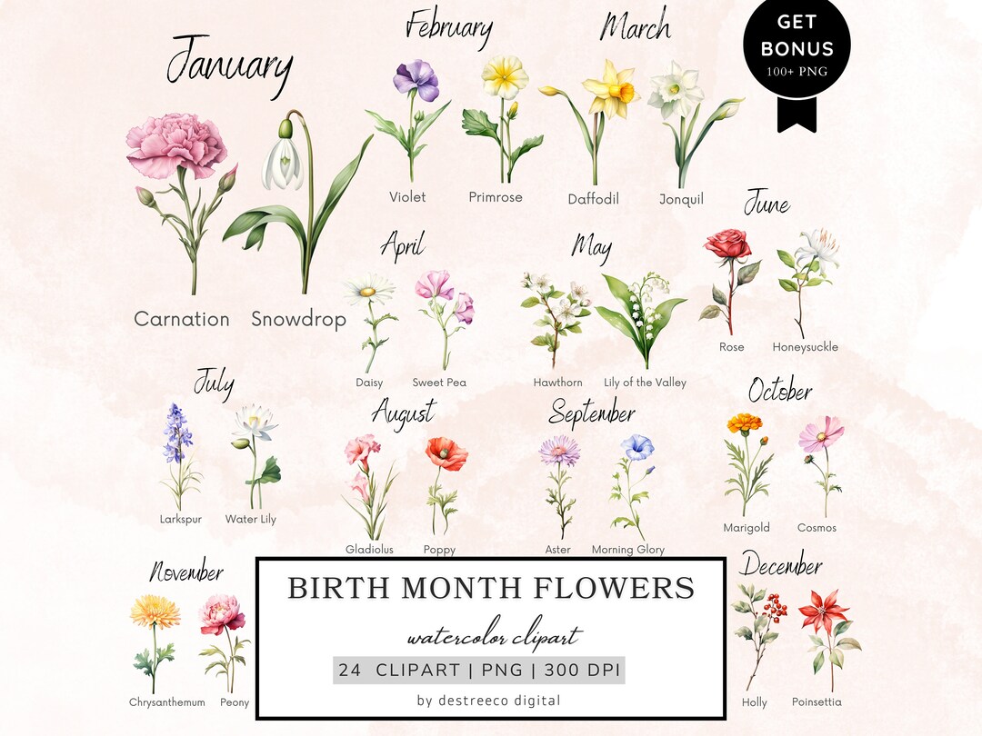 Watercolor Birth Month Flowers Clipart Bundle, Floral Png Set, Birth ...