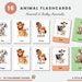 Animals & Baby Animals Printable Flashcards Montessori Cards Pre-school ...