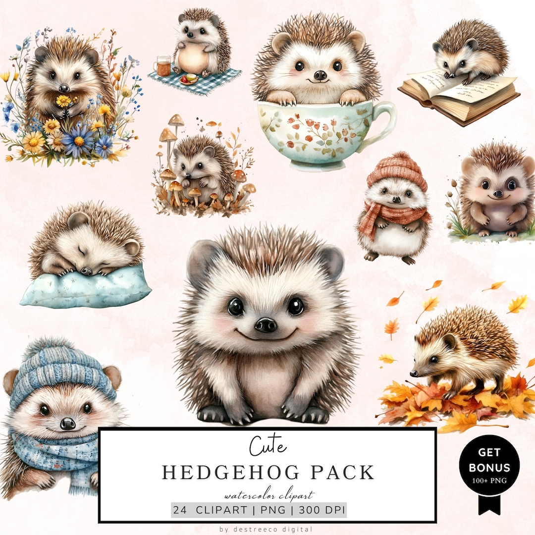 Watercolor Hedgehog Clipart Bundle, Cute Cartoon Hedgehog Png, Baby ...