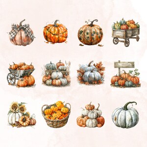 Watercolor Pumpkins Clipart Bundle, Autumn Clipart, Fall Graphics Png ...