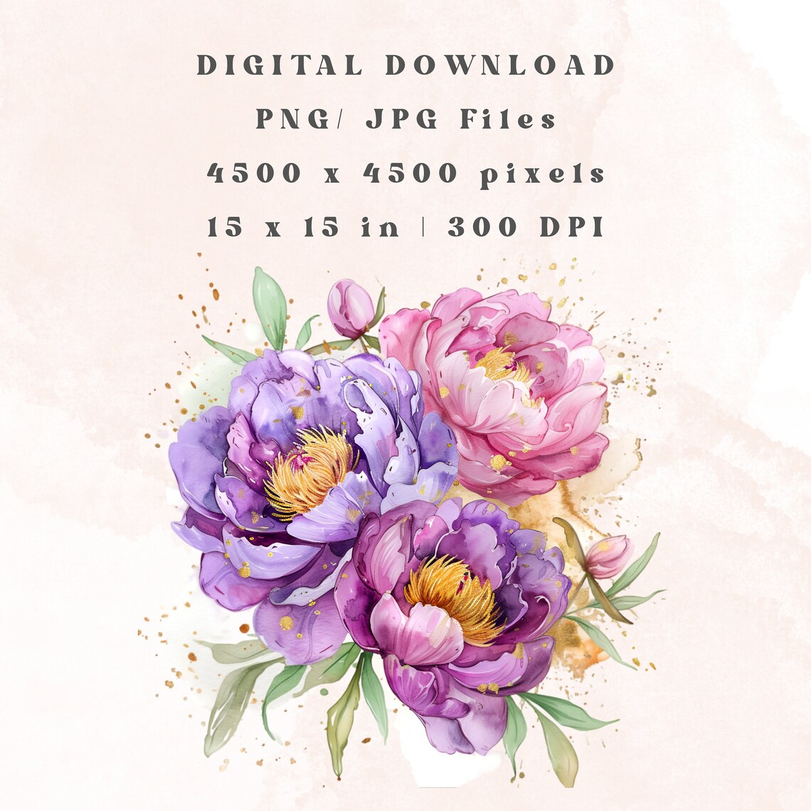 Watercolor Peony Clipart, Floral Clipart, Spring Clipart, Wedding ...