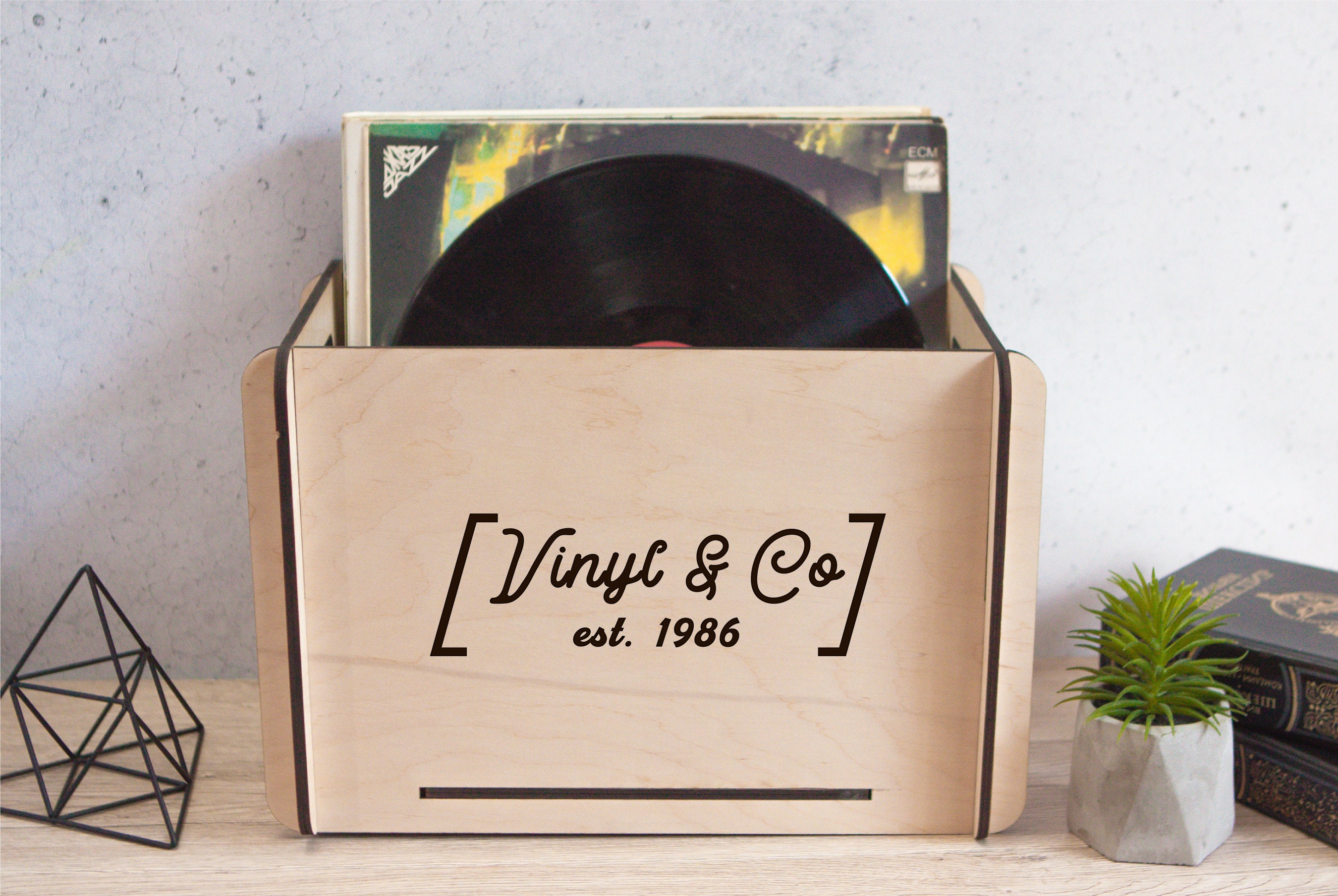 Custom Vinyl Box, Vinyl Record Organizer, Wood Vinyl Storage Box ...