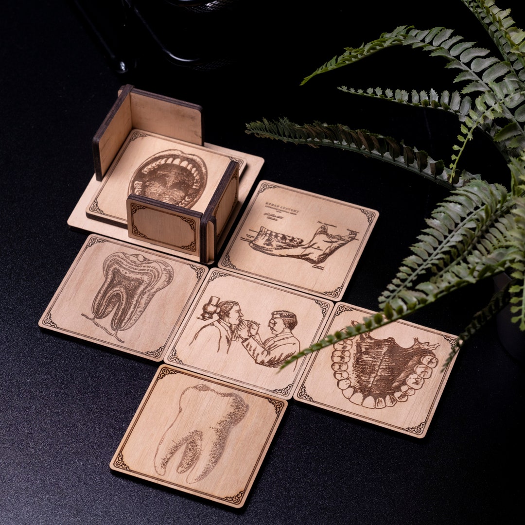 Dental Coasters, Dentist Coasters, Anatomy Coasters, Teeth Coasters ...