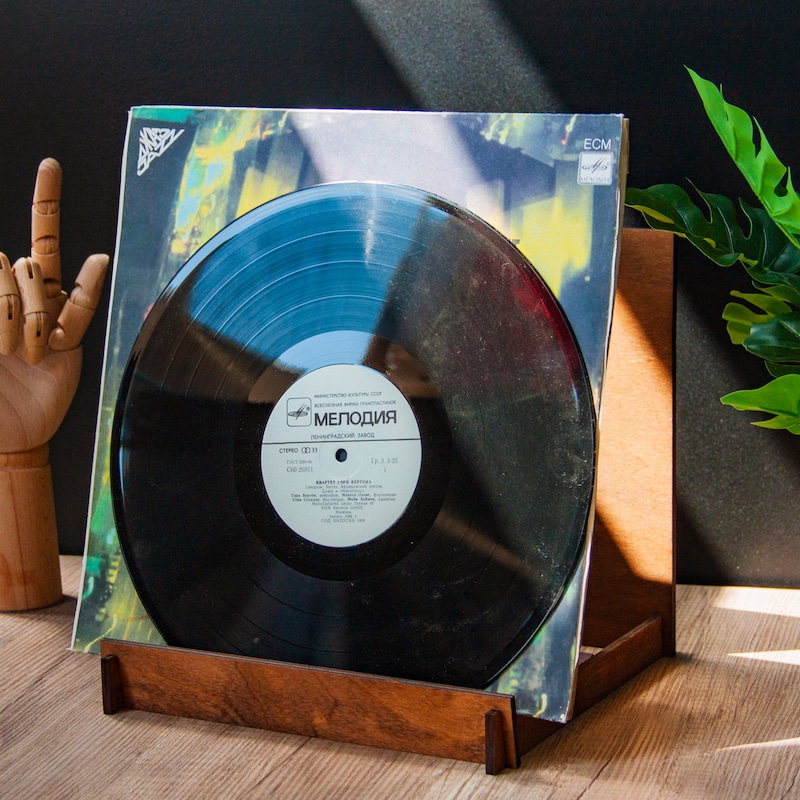 Vinyl Record Holder - Etsy