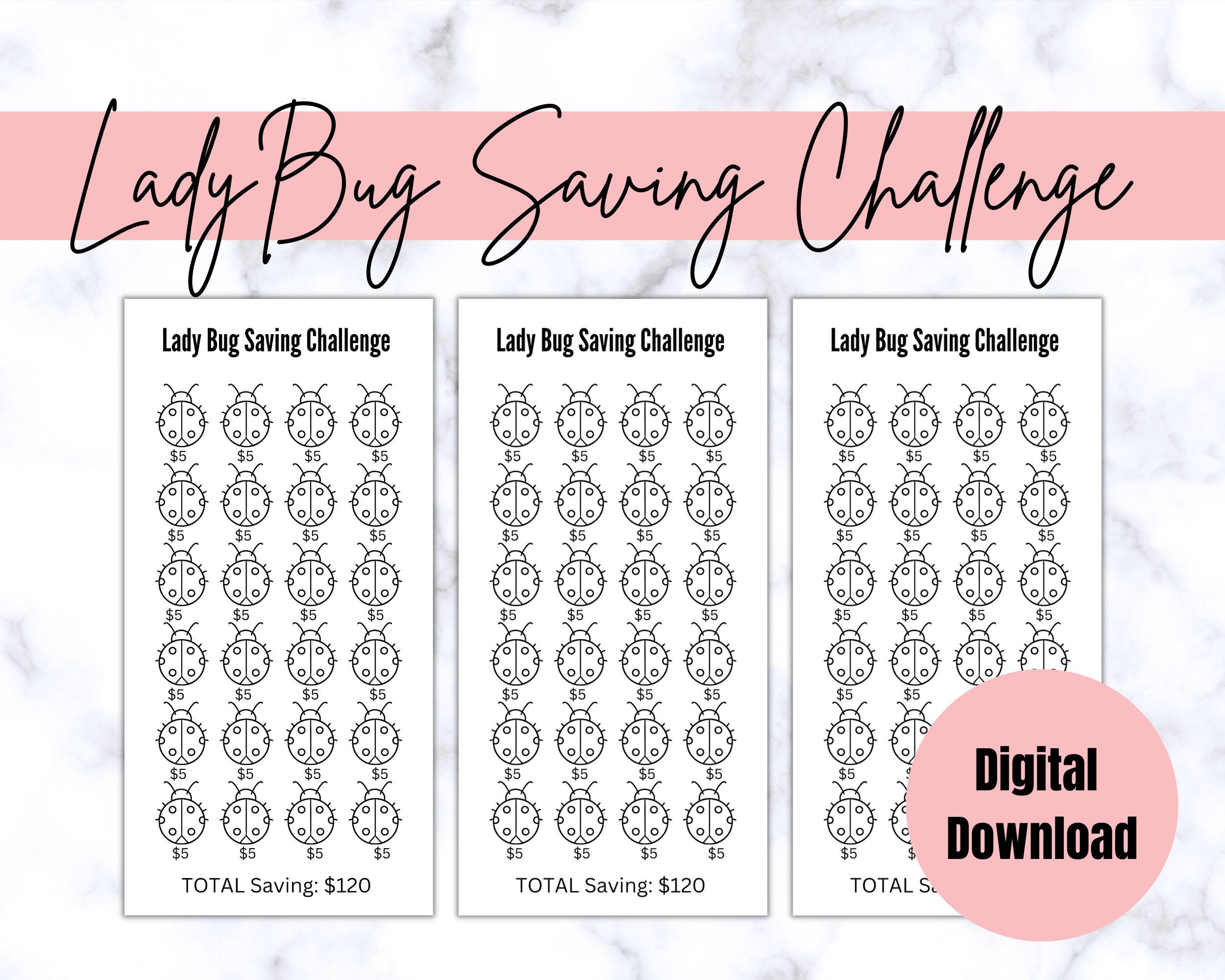 Mini Saving Tracker/ A6 Budget Binder/ Easy Beginner Saving Challenge ...