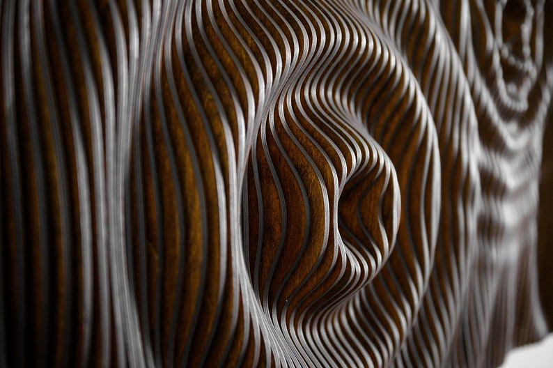 Parametric Wall Art Wood Wall Decor Parametric Design Wood Wall Art ...