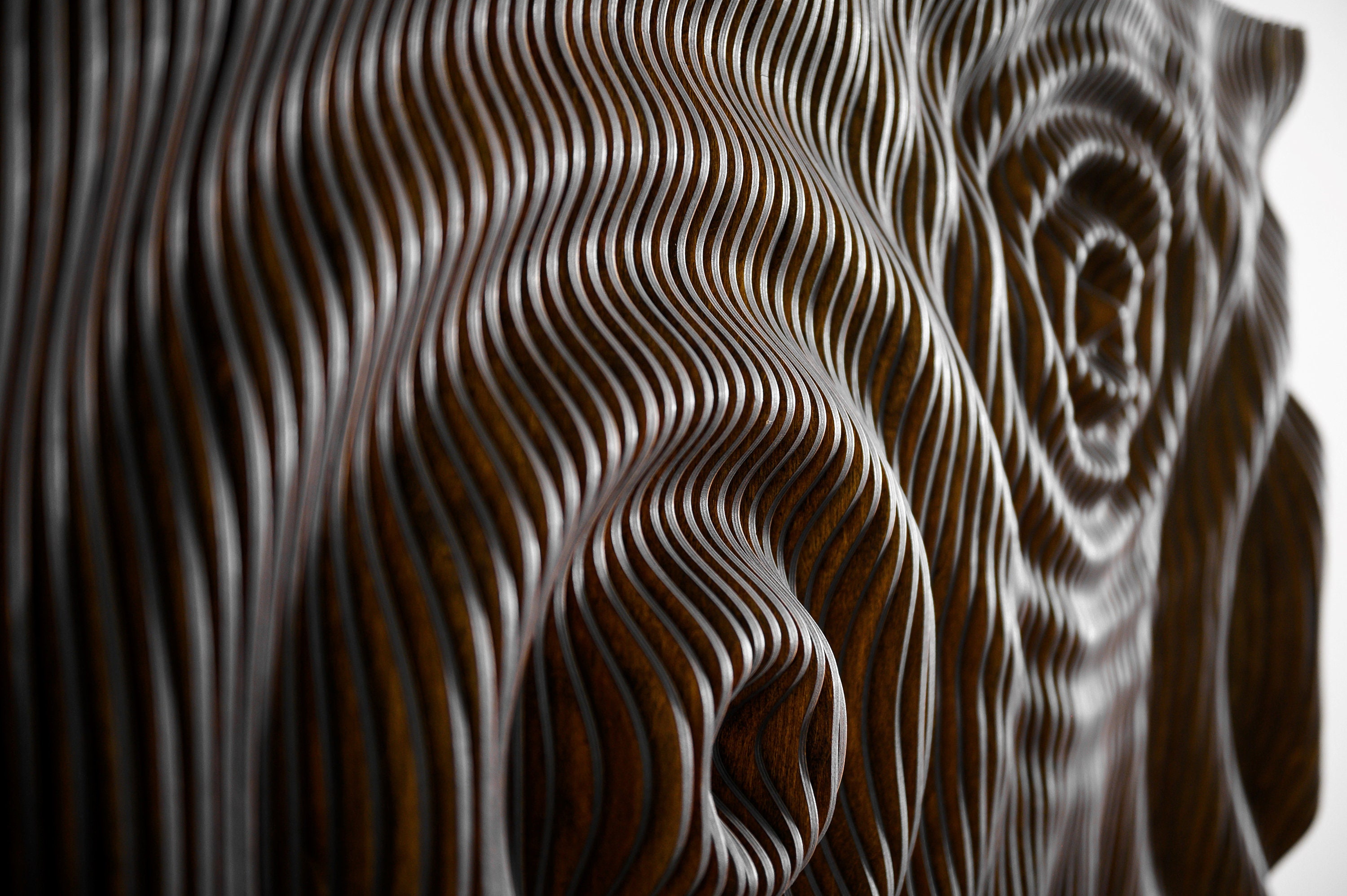 Parametric Wall Art Wood Wall Decor Parametric Design Wood Wall Art ...