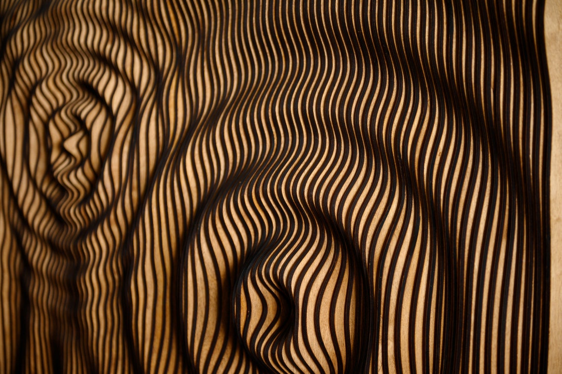 Parametric Wall Art Wood Wall Decor Parametric Design Wood Wall Art ...