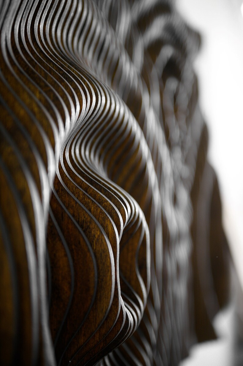 Parametric Wall Art Wood Wall Decor Parametric Design Wood Wall Art ...