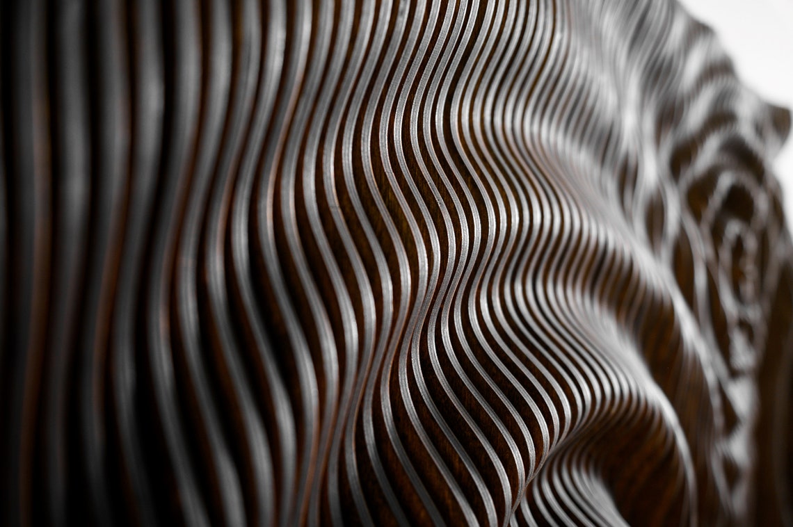 Parametric Wall Art Wood Wall Decor Parametric Design Wood Wall Art ...