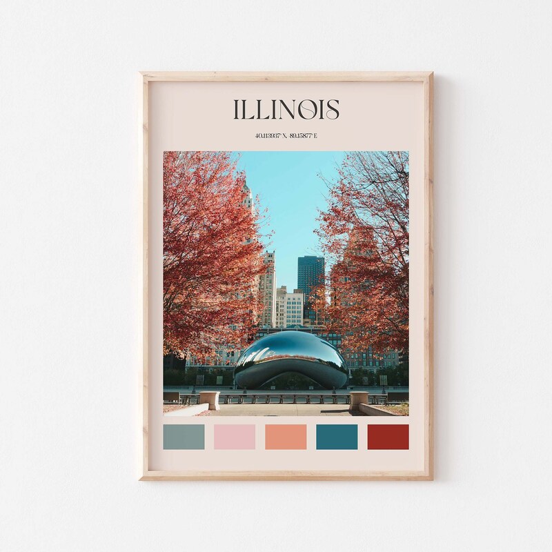 Illinois Poster - Etsy
