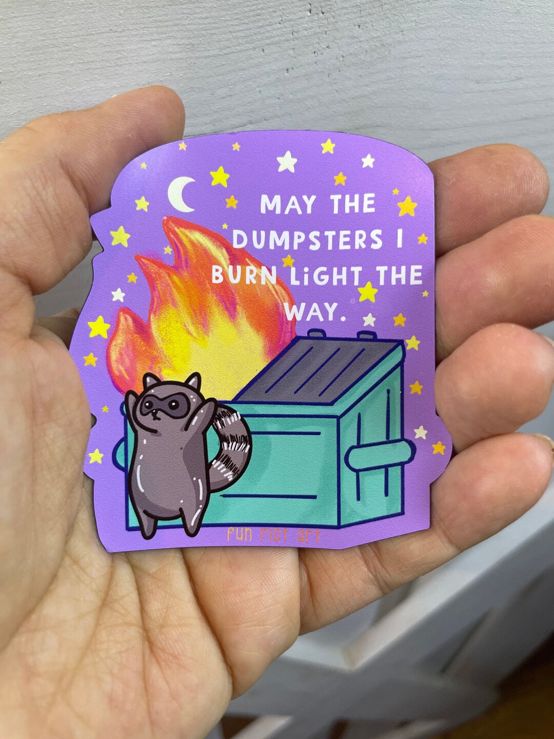 Raccoon Let the Dumpsters I Burn Light the Way Magnet Refrigerator Meme ...