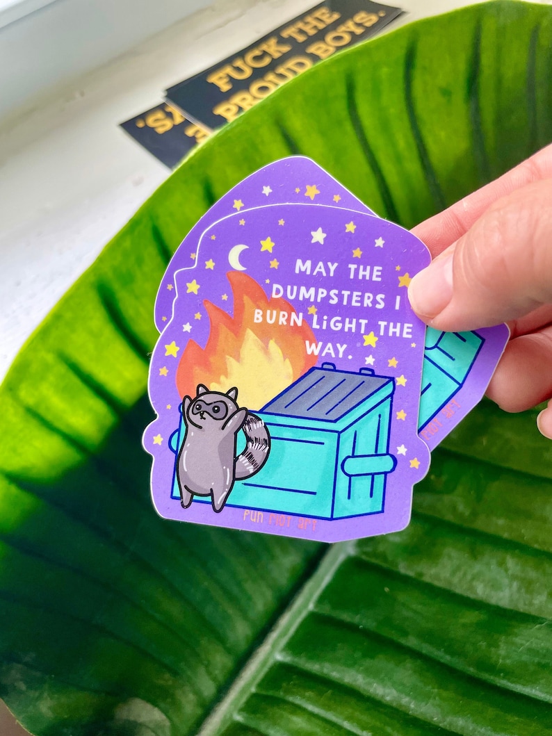 Dumpster Fire Raccoon Sticker for Laptop Water Bottle Sticker - Etsy