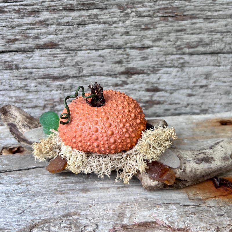Fall Beach Decor - Etsy