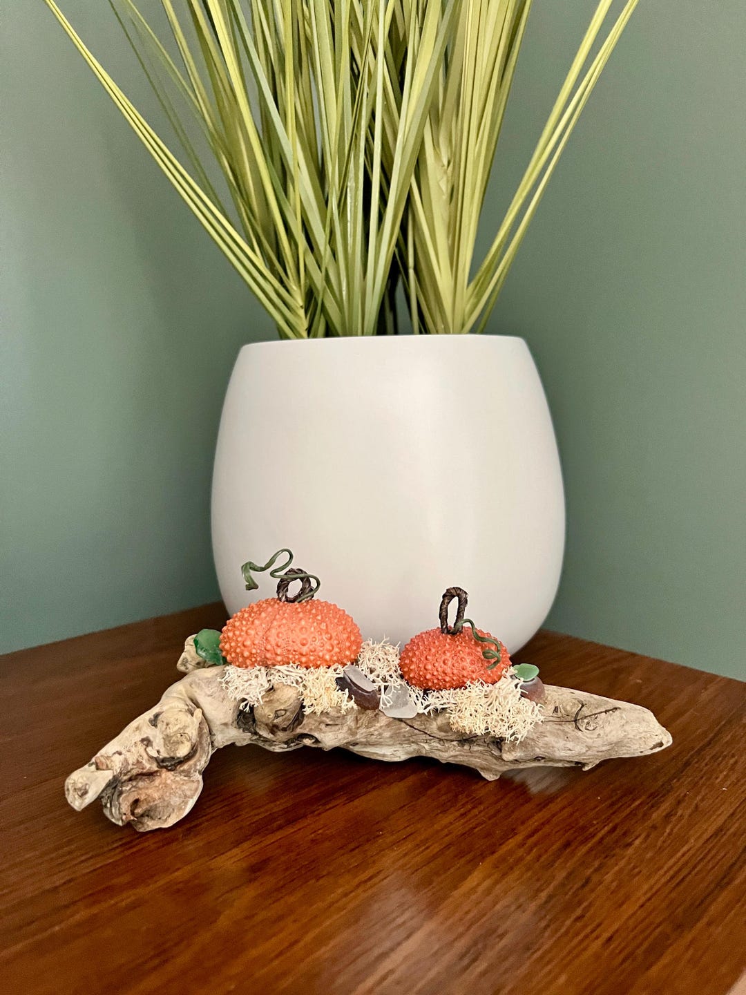Sea Urchin Pumpkins on Real Driftwood, Accented With Genuine Seaglass ...