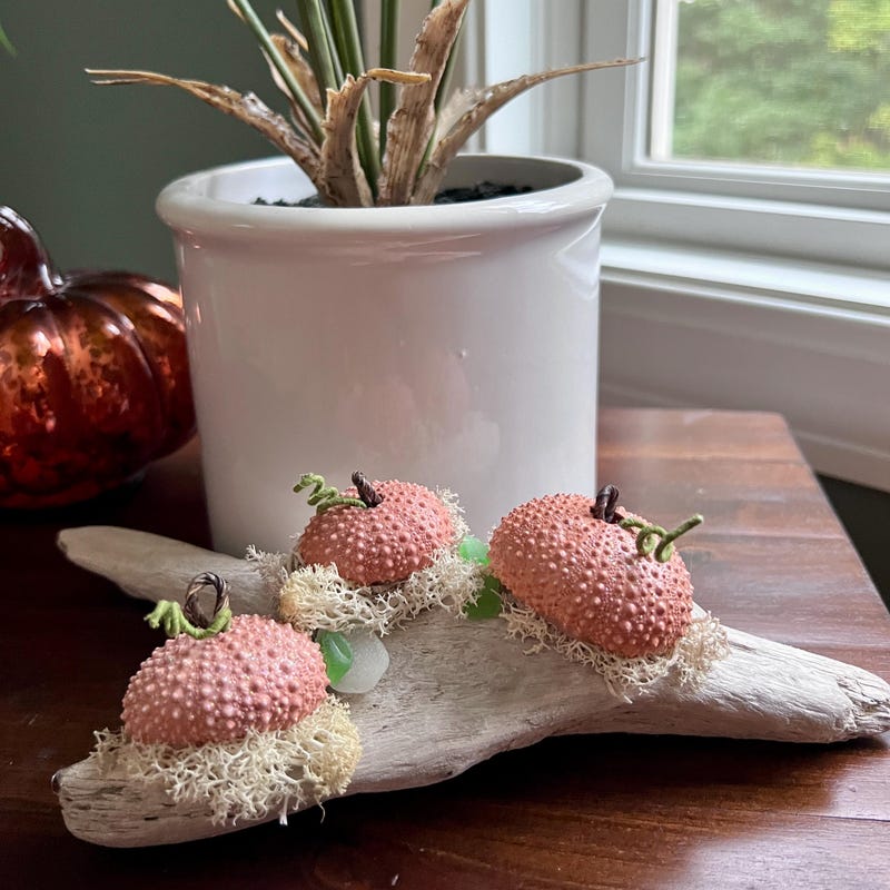 Nautical Theme Decor - Etsy