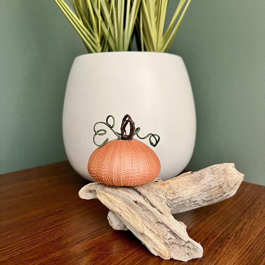 Sea Urchin Pumpkin: Coastal Fall Decor, Beach-themed Pumpkins Painted ...