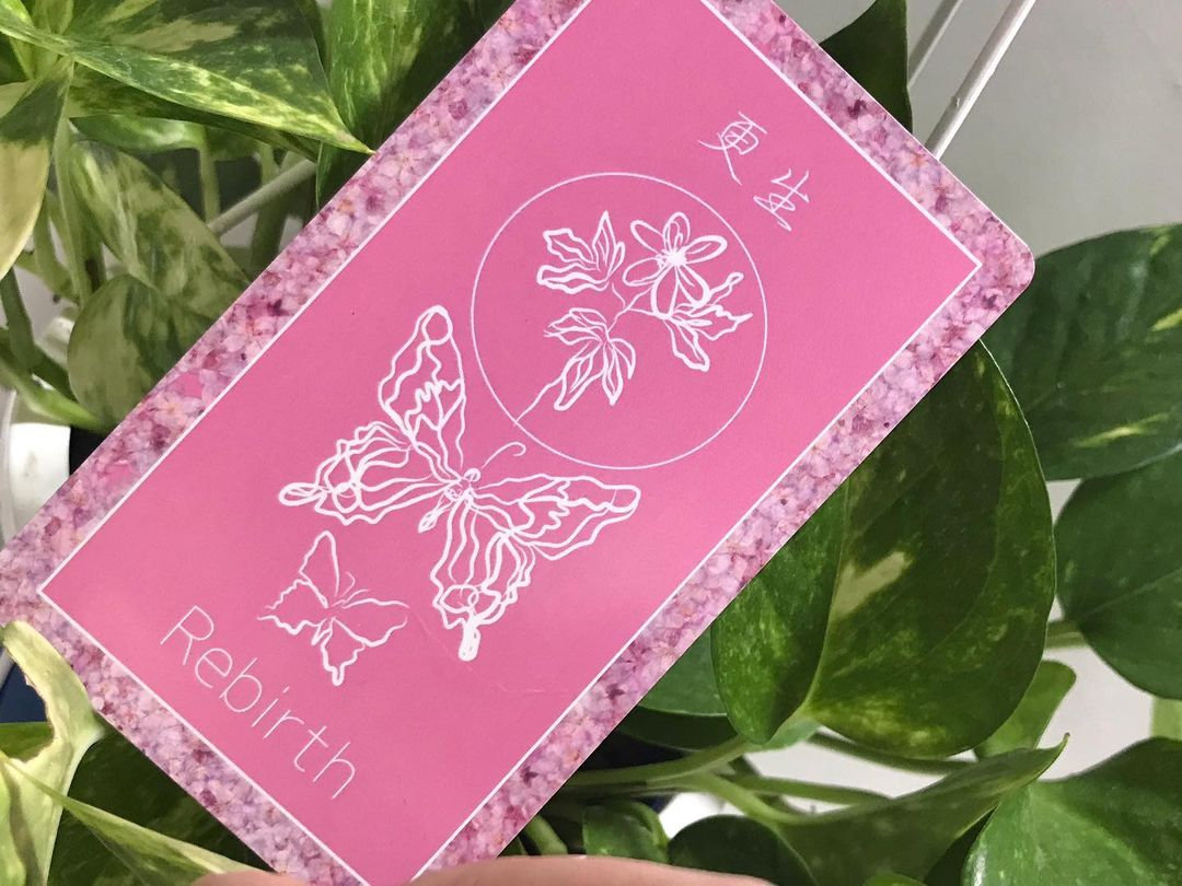 Yoru No Sumi-e Oracle Deck sakura Limited Edition - Etsy