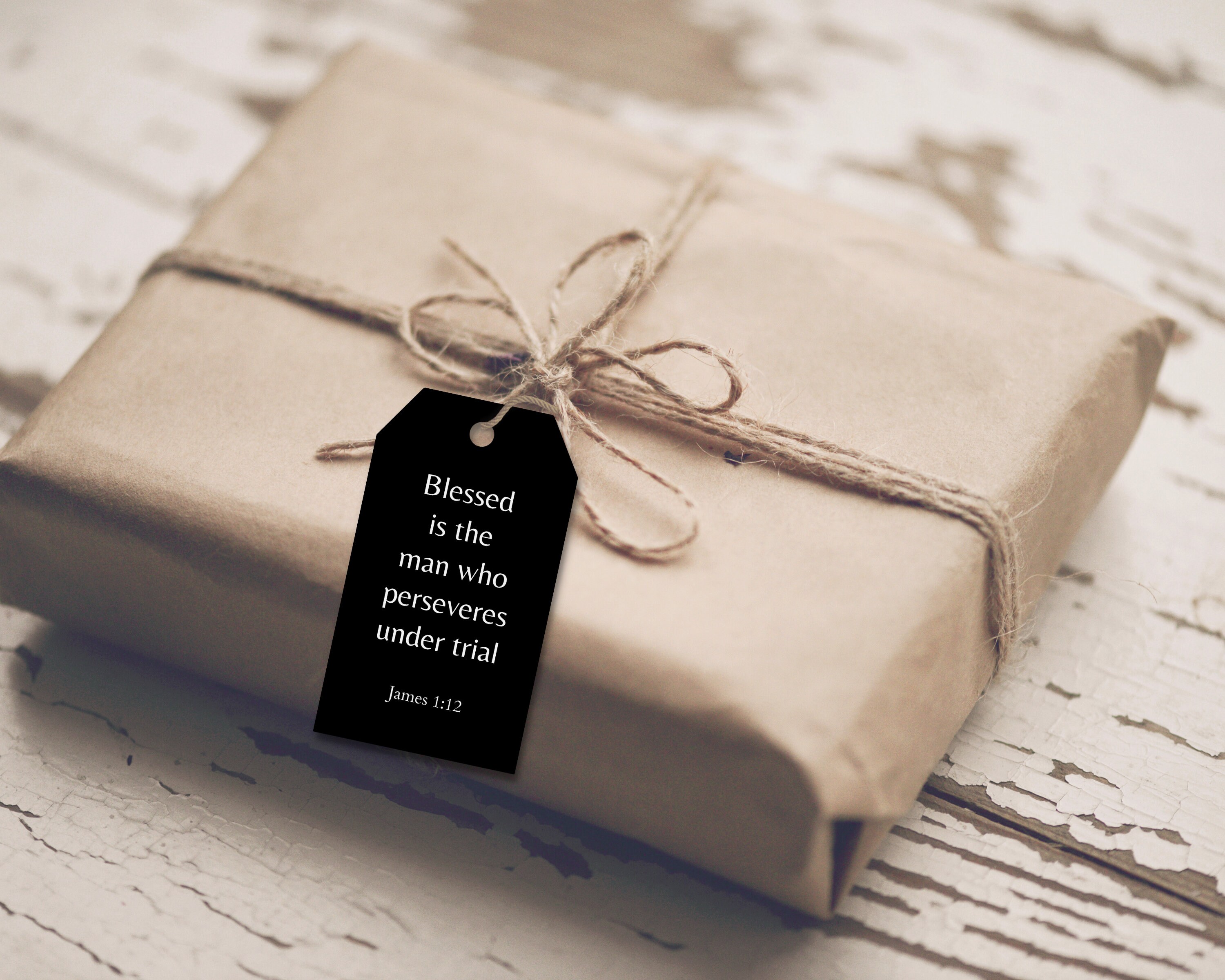 Printable Bible Verse Gift Tags for Men Christian Scripture Tags for ...